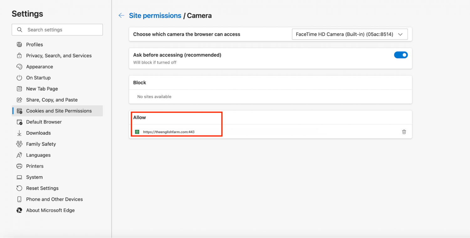 Checking the Camera/Microphone Settings on Microsoft Edge | The English Farm